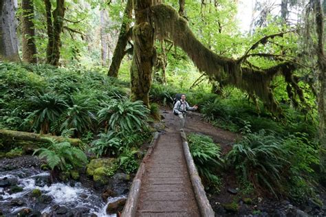 Hiking The Hoh Rainforest Camping For Women
