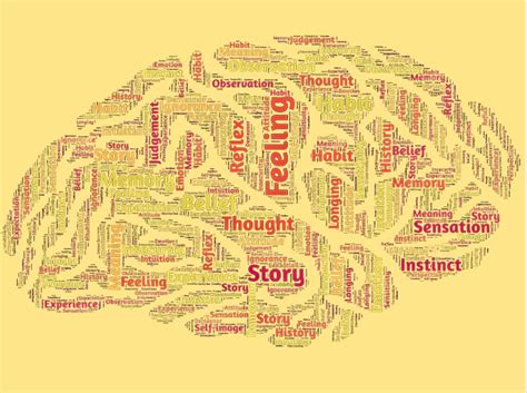 5 Things To Know About Synaptic Pruning Happiest Health