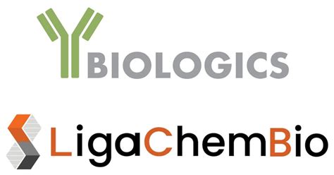 와이바이오 리가켐바이오에 면역항암 항체 기술이전