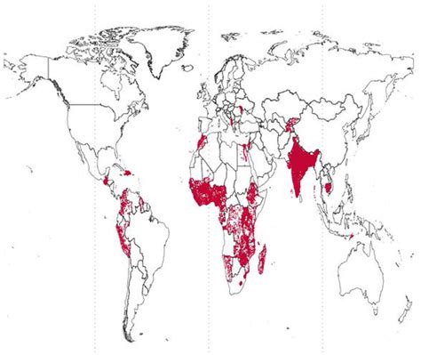 Map Of World Indicating Data Coverage N 630499 47 Countries