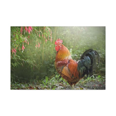 A Red Rooster Standing In A Garden On Canvas Wall Art Print A Cute