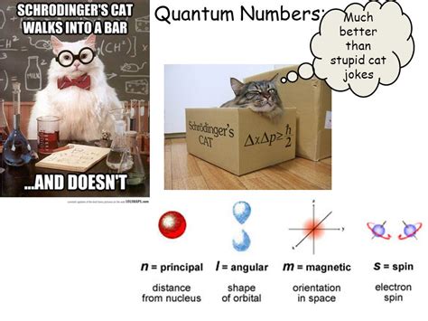 Periodic Table Jokes Cat