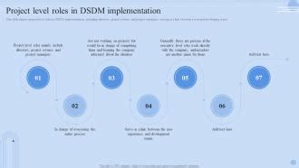 Project Level Roles In DSDM Implementation Dynamic Systems Ppt Gallery Display PPT Presentation