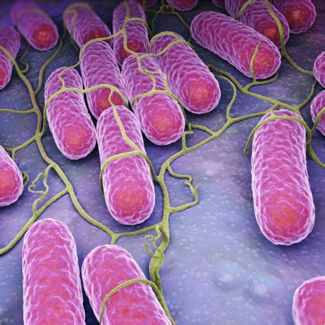 Pathogen Testing Natsep