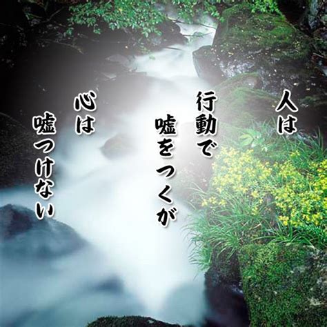人は行動で嘘をつくが心は嘘つけない今日の一言 癒しと名言と音楽とおいしい料理