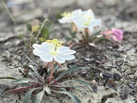 Greg Lardy We Are Made In The Image And Likeness Of God Facebook