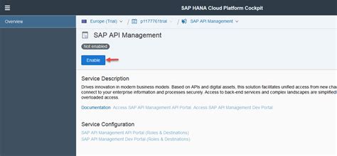 How To Activate Sap Api Management Service In Hana Cloud Platform