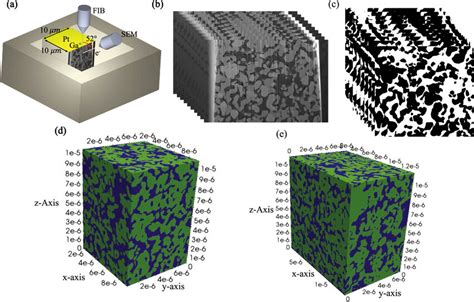 A Schematic Of The Fib Sem B Original Secondary Electron Images
