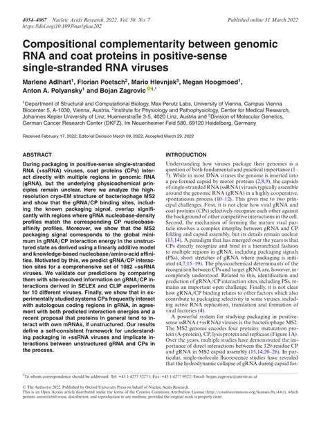 Pdf Compositional Complementarity Between Genomic Rna And Coat