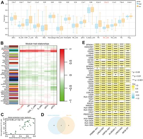 Prognostic Role Of Long Non Coding Rna Usp30 As1 In Ovarian Cancer