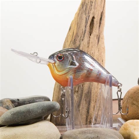 Orange Spotted Sunfish Premium Custom Painted Diving Etsy