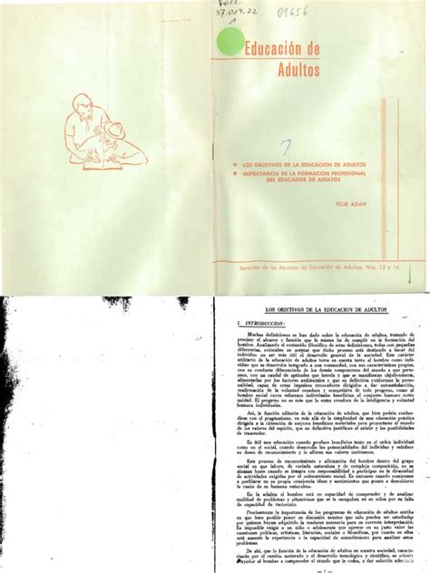 Objetivos De La Educacion De Adultos Pdf Inteligencia Artificial