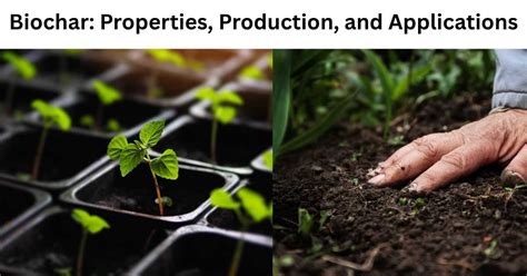 Biochar Properties Production And Applications