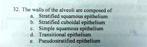 The Walls Of The Alveoli Are Composed Of A Stratified Squamous Epithelium B Stratified