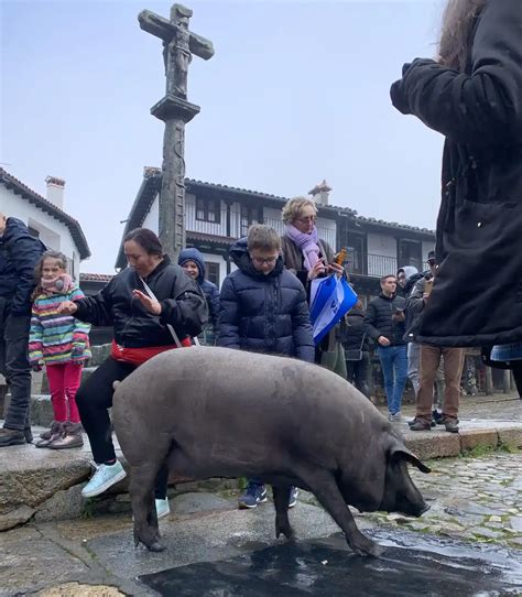 Fermín Ibérico And Asprosub A Partnership That Embraces Creativity And Fosters Inclusion