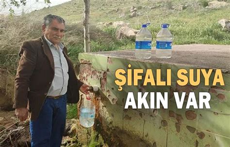 Sema Zoylan On Linkedin Şifalı Suya Akın Var