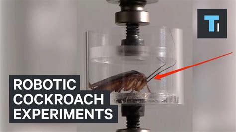 Robotic Cockroach Experiments Youtube