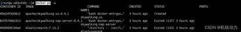 docker常用管理命令 docker verbose csdn博客