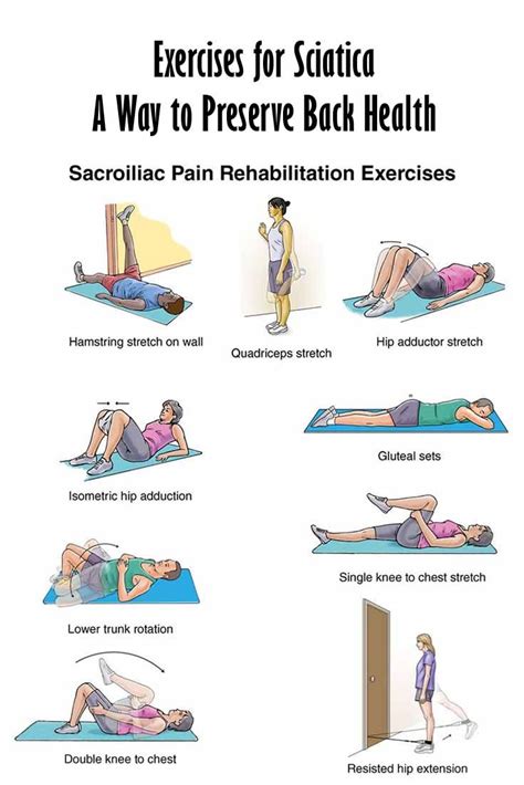 Printable Exercise Sheet For Sciatica Printable Free Templates