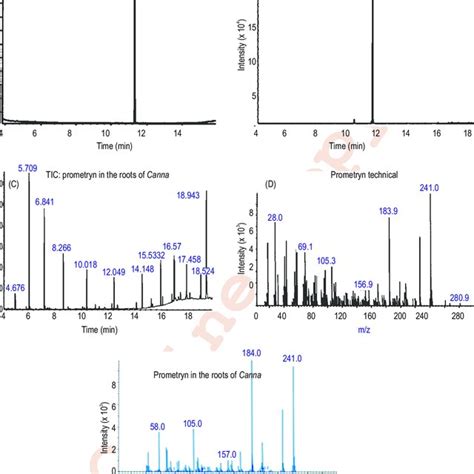 Gc Ms Chromatogram Of Prometryn A Extracted Ion Chromatogram Of Download Scientific Diagram