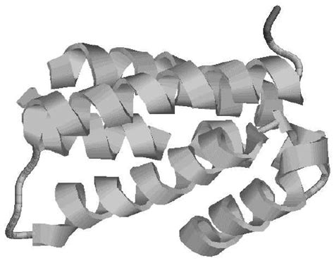 Example Of Domain Prediction For Casp Target T0367 Pdb2hsb Grey Download Scientific