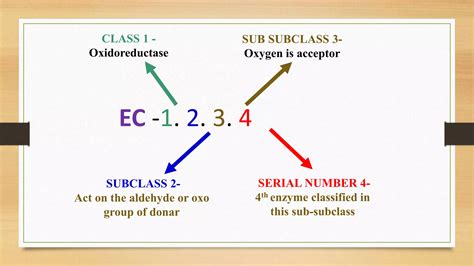 Types Of Reactions In Biological System And Enzyme Classification Updated 2018 Ppt