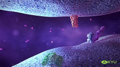 Medical Illustration And Animation On Linkedin Cellular Immunity Immunology Cellbiology