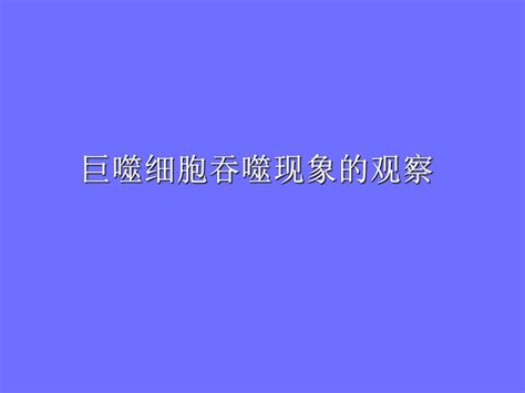 小鼠巨噬细胞吞噬鸡红细胞实验 Ppt 搜必应