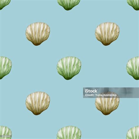 포장 및 포장 사용을 위한 이음새가 없는 직물 인쇄에 있는 수채화 포탄 본 디자인 귀여운에 대한 스톡 벡터 아트 및 기타 이미지 귀여운 껍데기 나선형 Istock