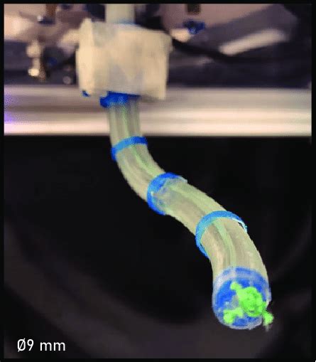 Prototype Of A Two Segment Soft Continuum Manipulator Download Scientific Diagram