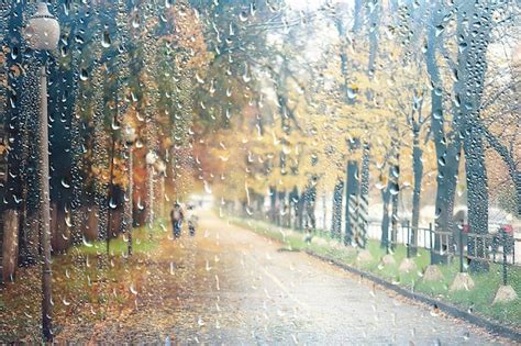 Raindrops On Glass View Through The Window Landscape Autumn Forest