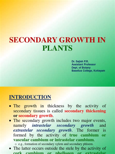 Secondary Growth In Dicot Stem Pdf Plant Stem Tissue Biology