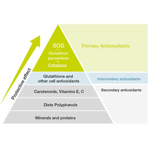 About Glisodin Glisodin Sod Gliadin Complex