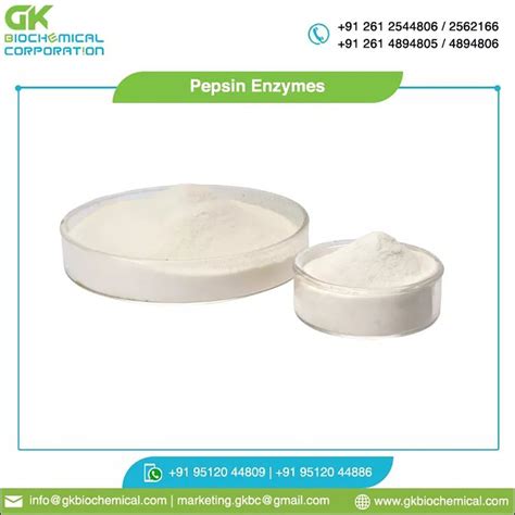Pepsin Enzyme Powder At ₹ 562 Kg In Surat Id 23002021212