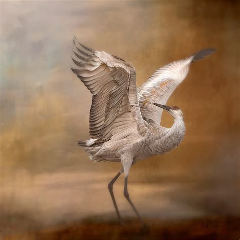 Sandra Corless — North Valley Studio Tour