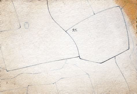 Amanda Wallwork Fifty Fields