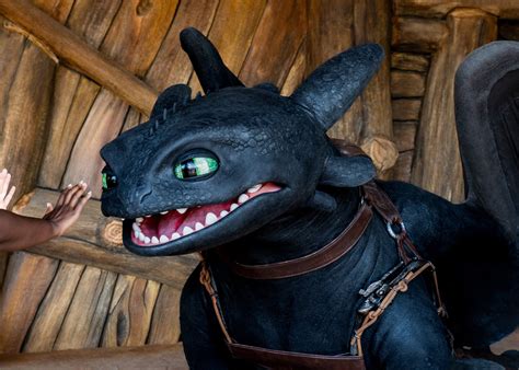 Universal Shares First Look At Toothless And Hiccup Meet And Greet