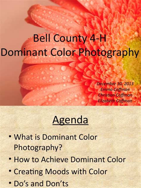 bell county 4 h dominant color photography december 30 2013 emma