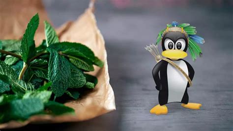 4 Razones Para Abandonar Windows Para Siempre Y Usar Linux Mint