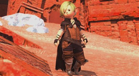 Wanderer Eorzea Collection