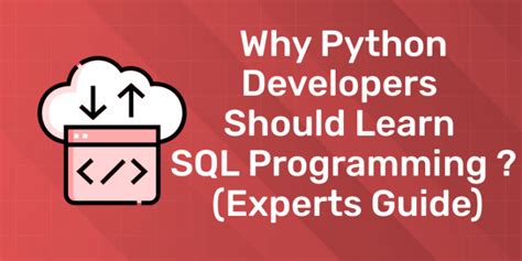 Why Python Developers Should Learn Sql Programming Experts Guide