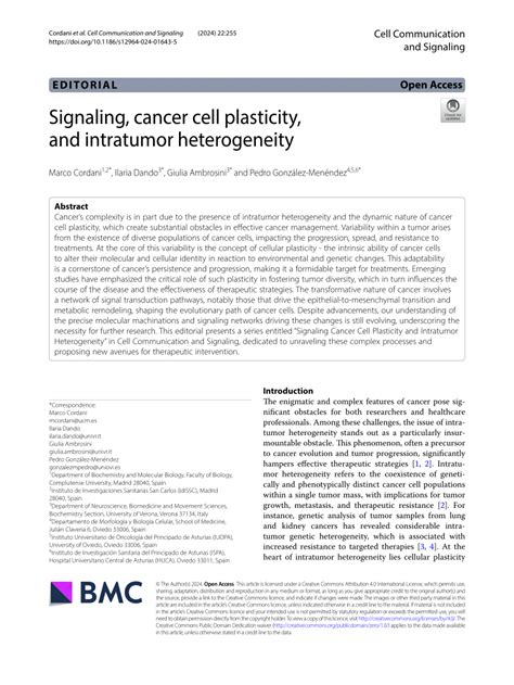 Pdf Signaling Cancer Cell Plasticity And Intratumor Heterogeneity