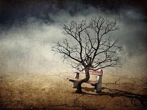Amazing Surreal Photo Manipulation By Sarolta Ban