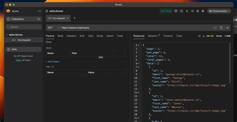 Bruno Docs Rest Api Request