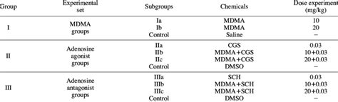 Schematic Representation Of Experiment Protocol Download Table