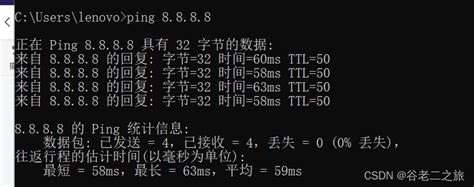 Ping命令详解 Csdn博客