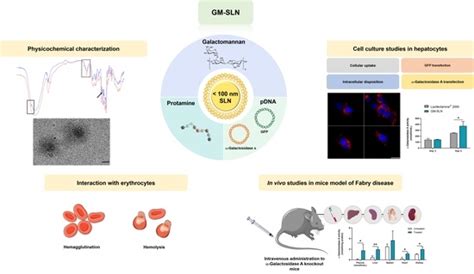 Nanomaterials Special Issue Functional Nanoparticles For Biomedical And Nanomedicine Application