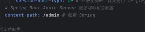 spring boot admin 在中无法正常访问的问题 springbootadmin assets访问不到 csdn博客