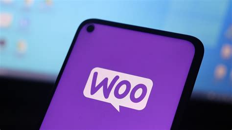 WooCommerce And Mollie Combine To Support UK SME Expansion Into Europe PaymentExpert Com