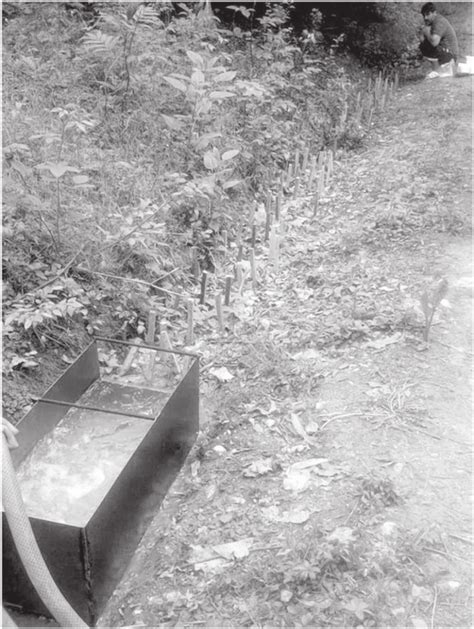 Runoff Simulation And Sediment Sampling At The End Of Each Road Section Download Scientific